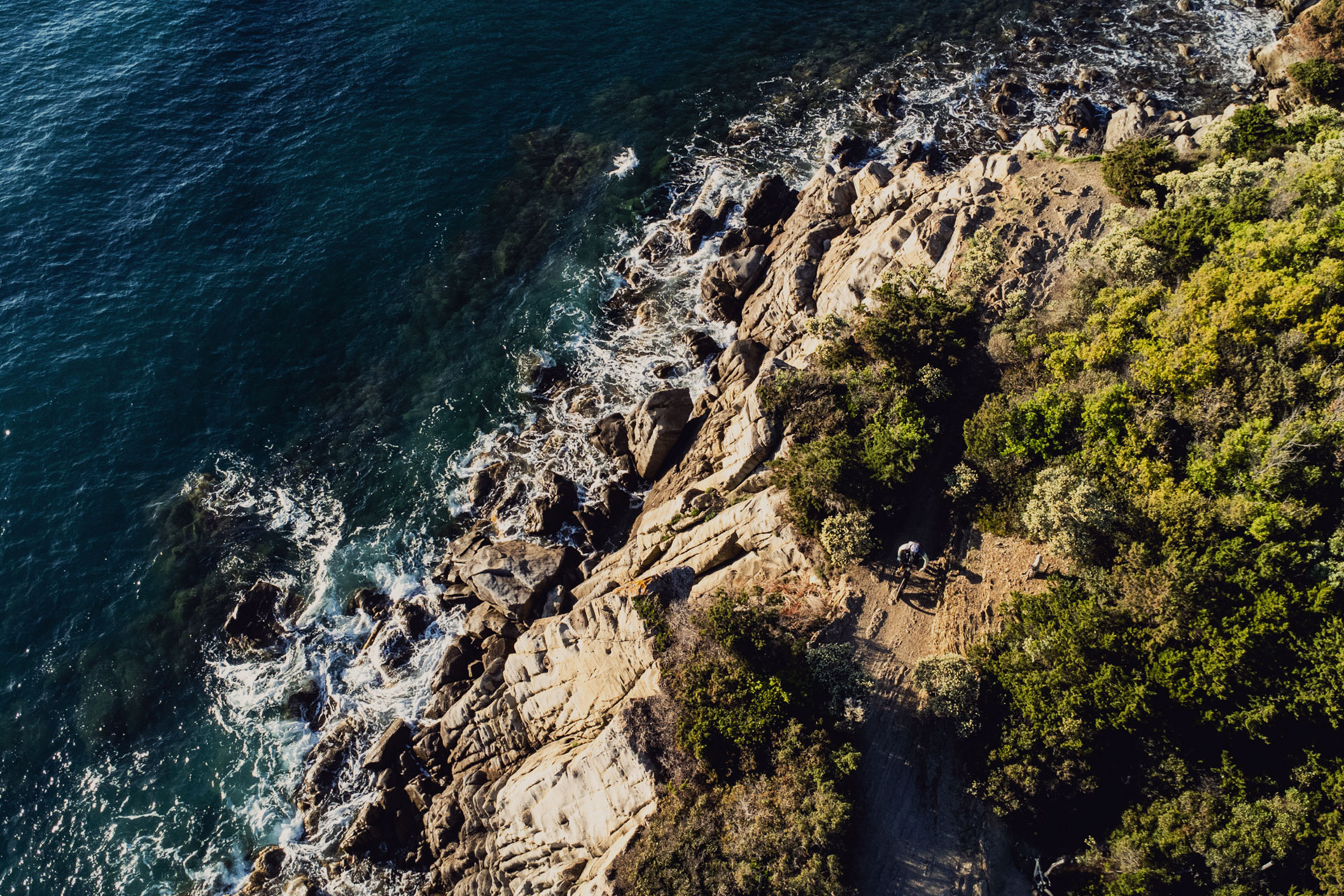 TSG Catalog Summer 2025 - TSG